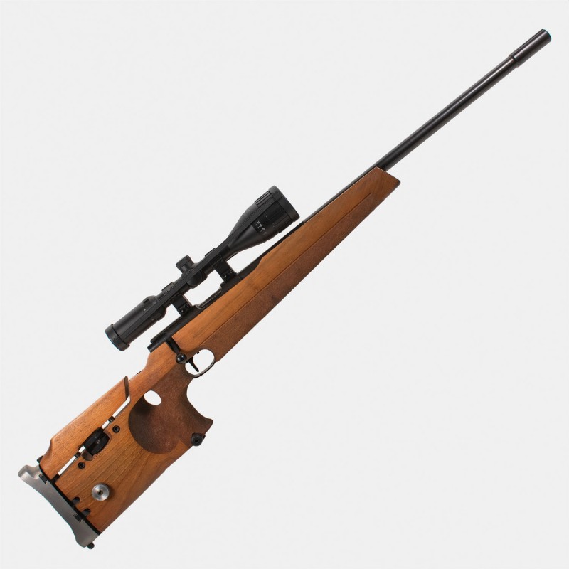 Carabines de précision 22LR